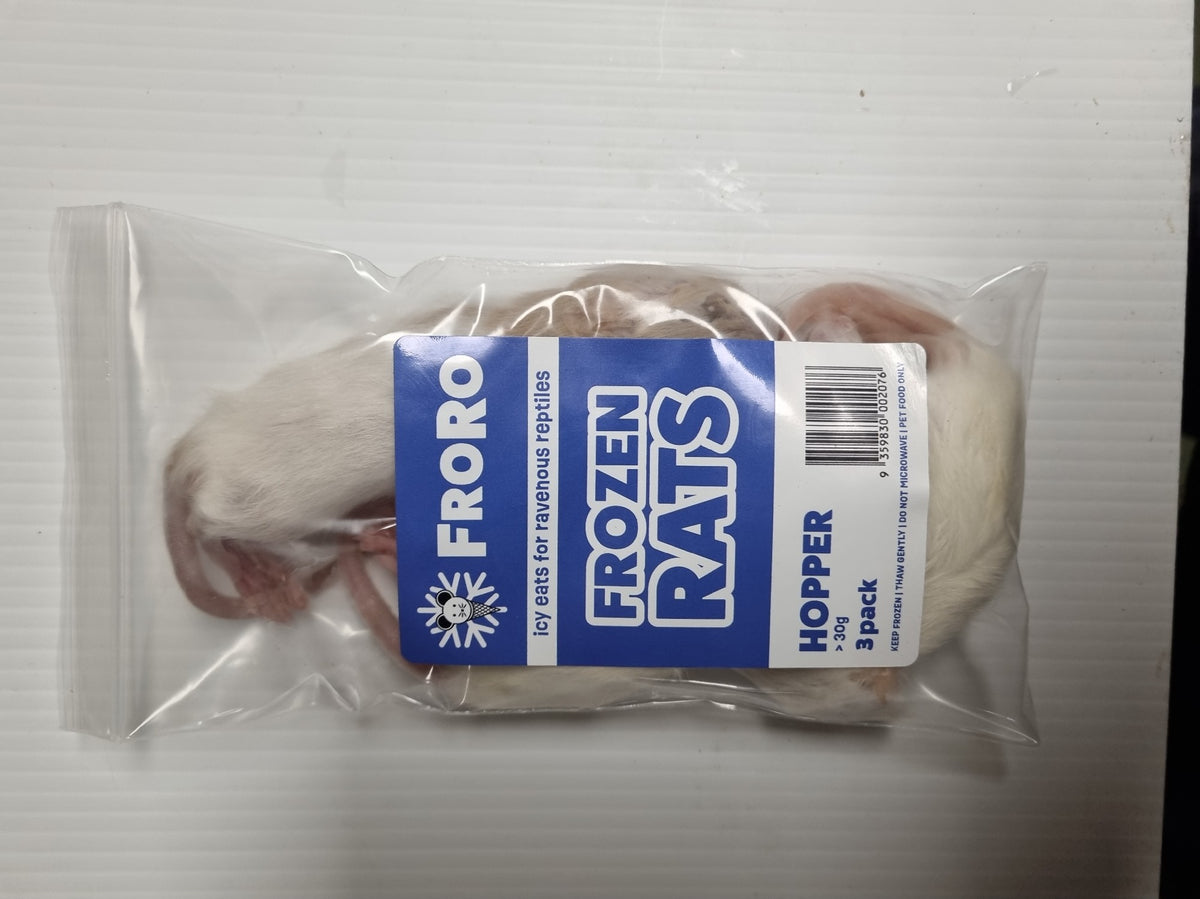FroRo Rat Hopper > 30g | 3 Pack – Bird & Fish Place